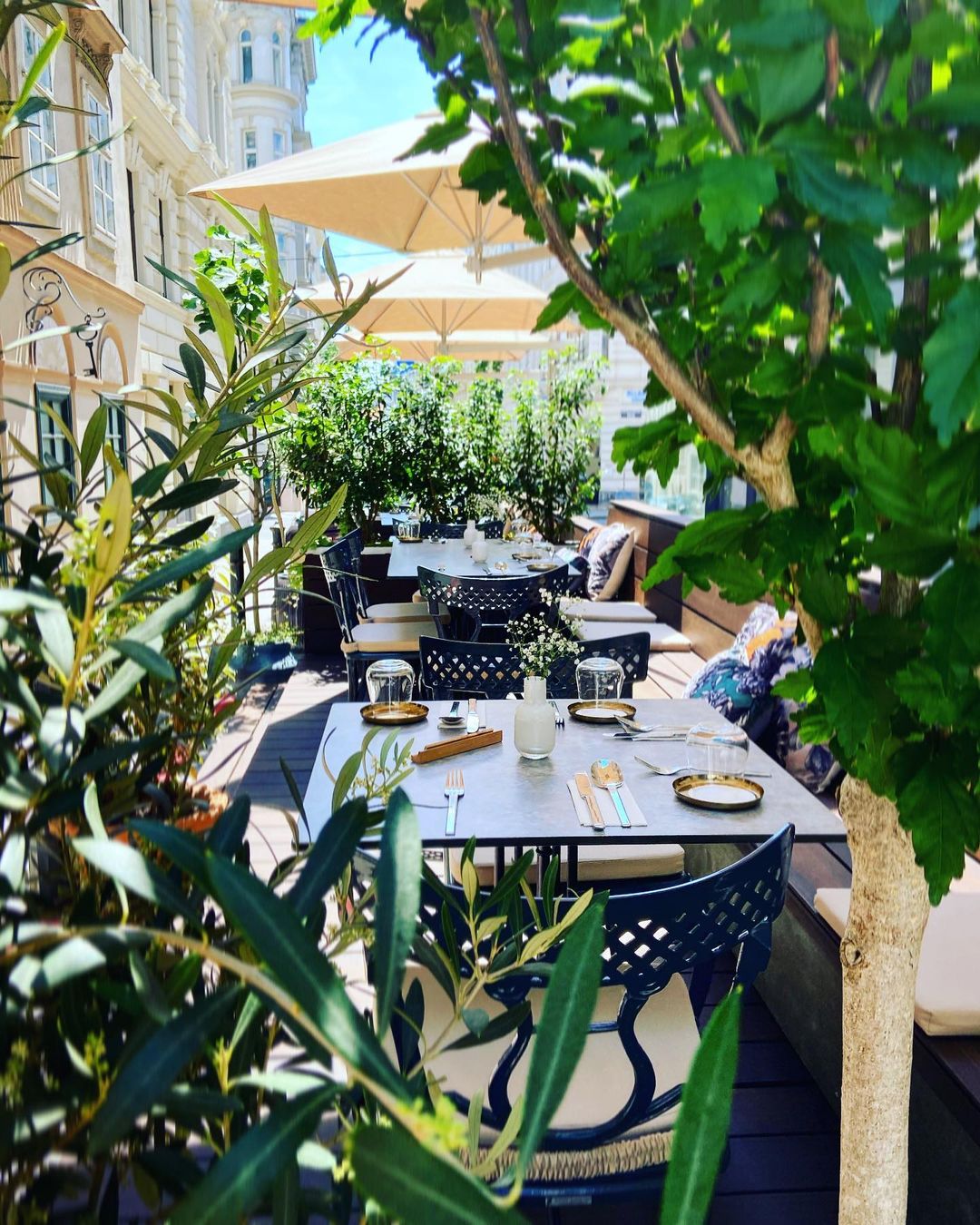 Fine Dining in Vienna: The 20 Best Luxury Restaurants - Framey