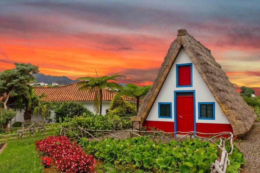 20 Reasons You Need to Visit Madeira Right Now - Framey