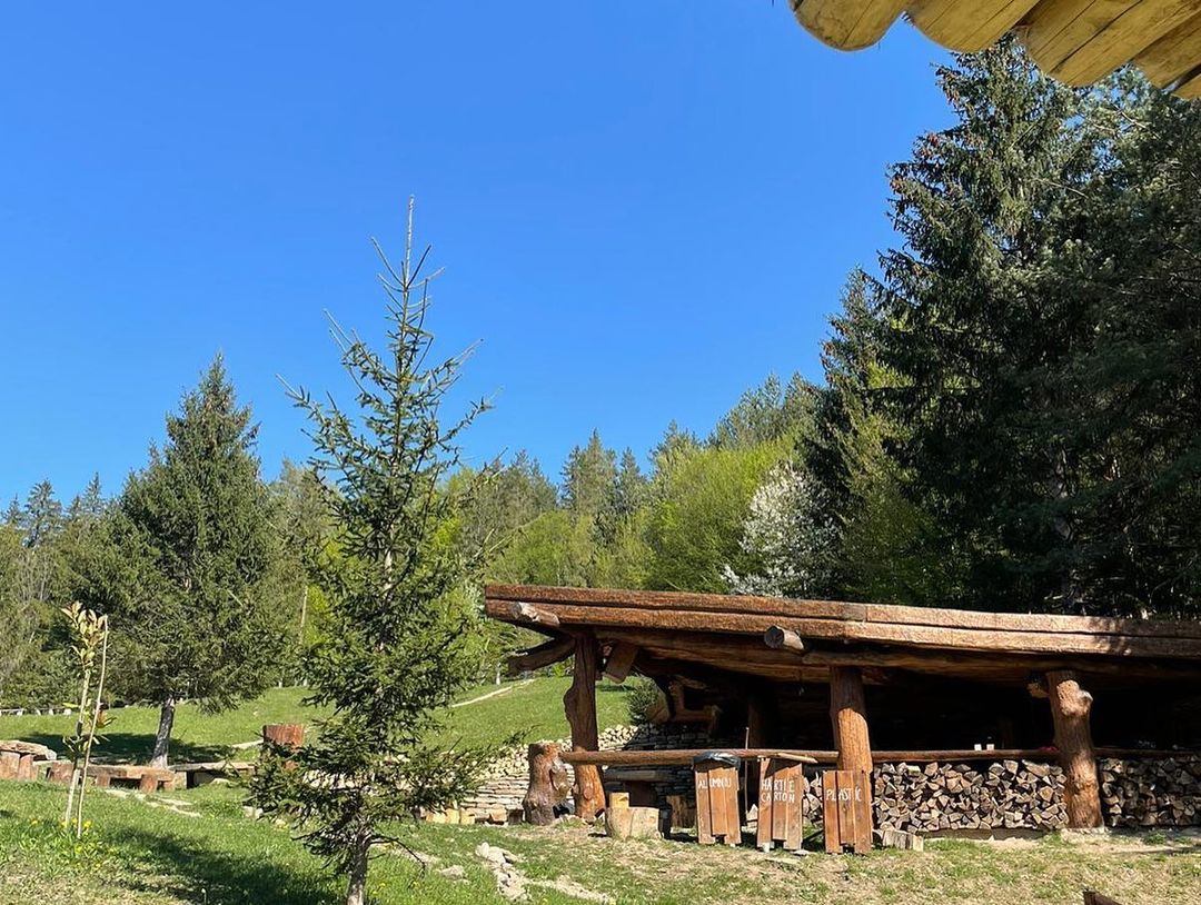 Accommodations in Romania:20 Unique Places to Stay in Romania - Framey