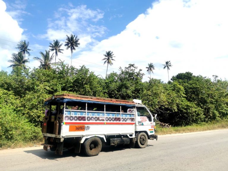 Top 15 Things to Do in Zanzibar You Don't Want to Miss - Framey