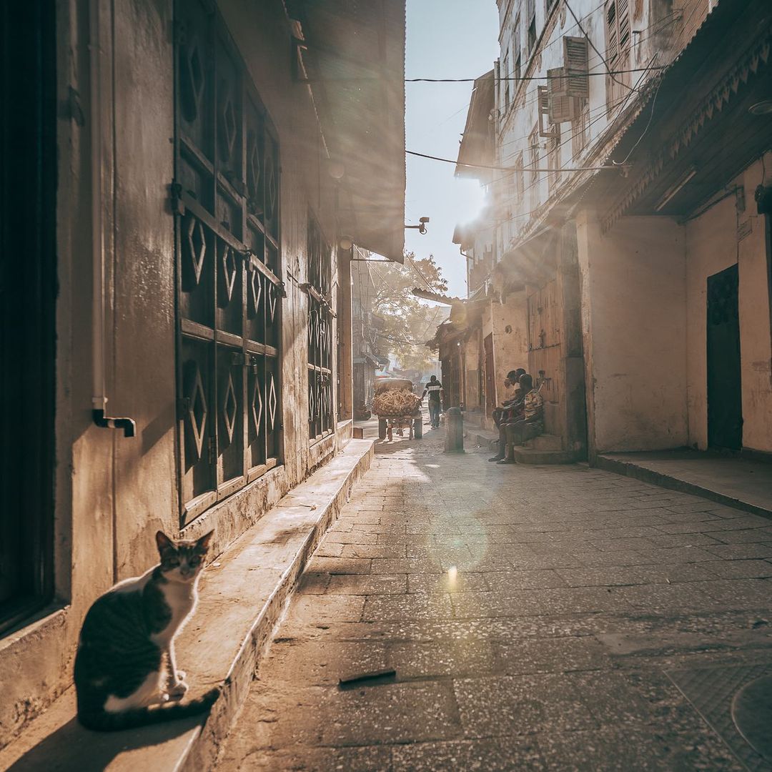 What you need to know about Zanzibar: Top 20 Frequently Asked - Framey