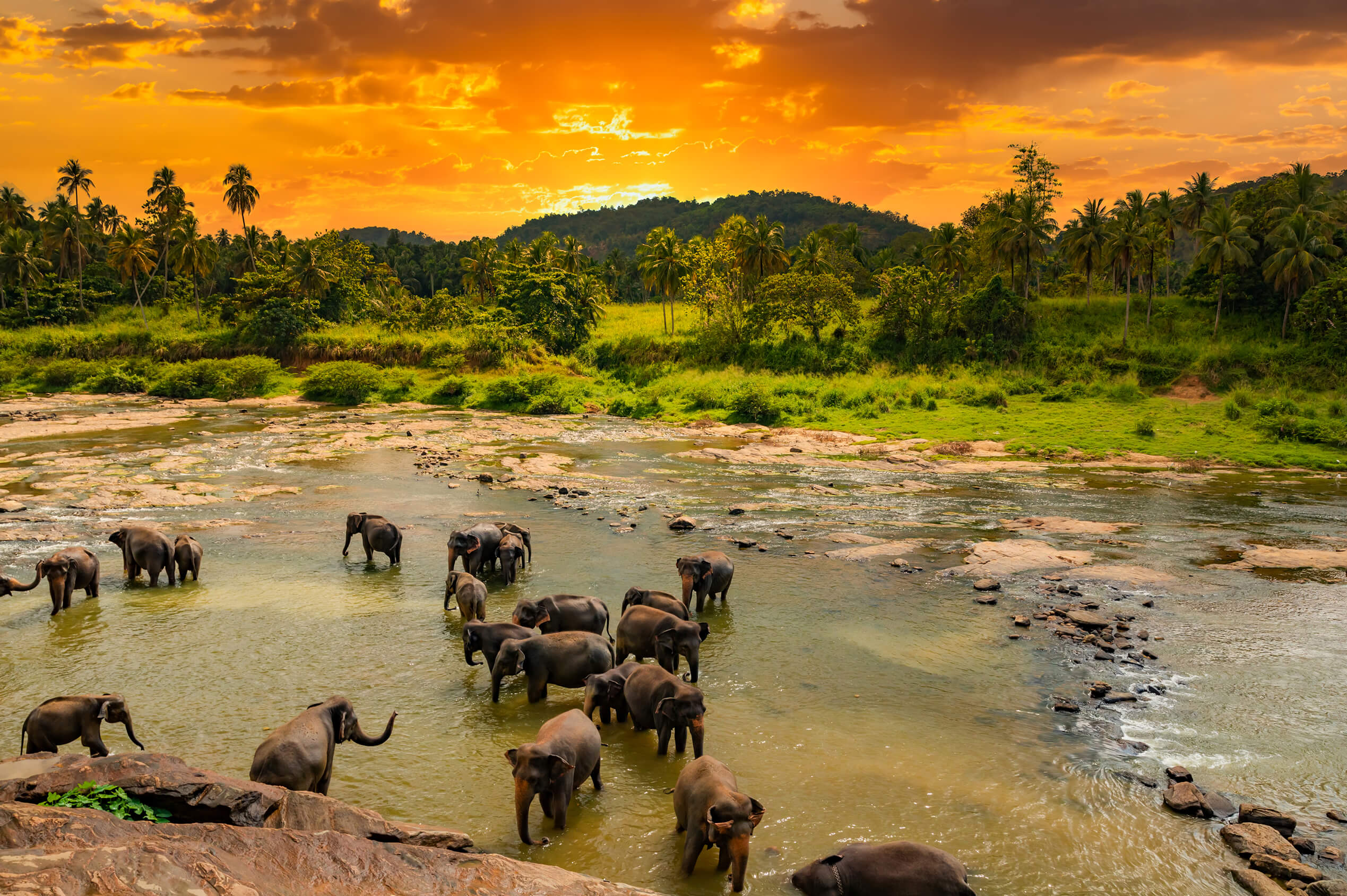 What To Do in Sri Lanka? Top 30 Best Tourist Attractions - Framey