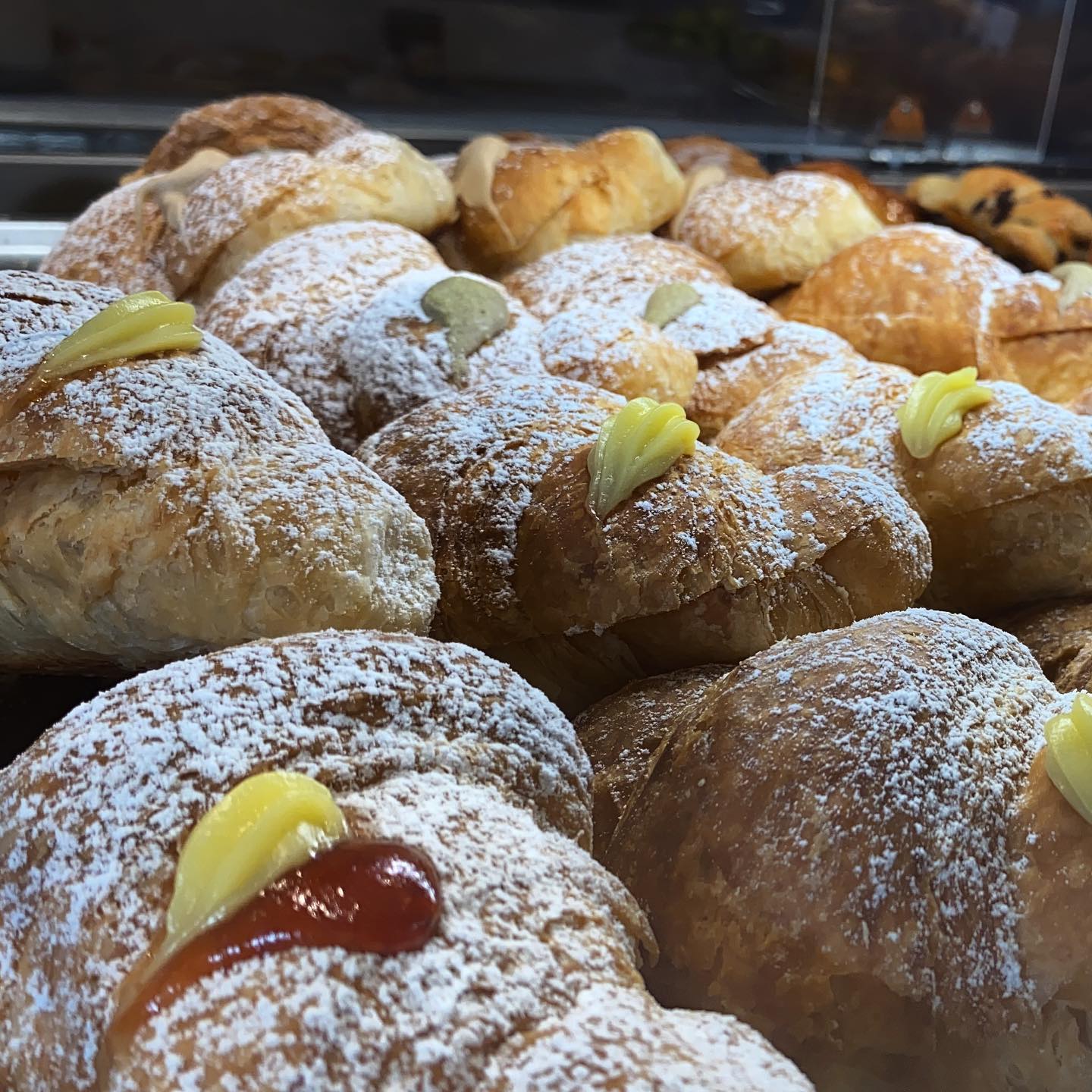 Top 10 Best Pet-Friendly Cafés and Restaurants in Rome - Framey