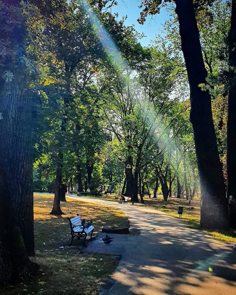 European Capital of Culture: Top 20 Best Attractions in Timisoara ...