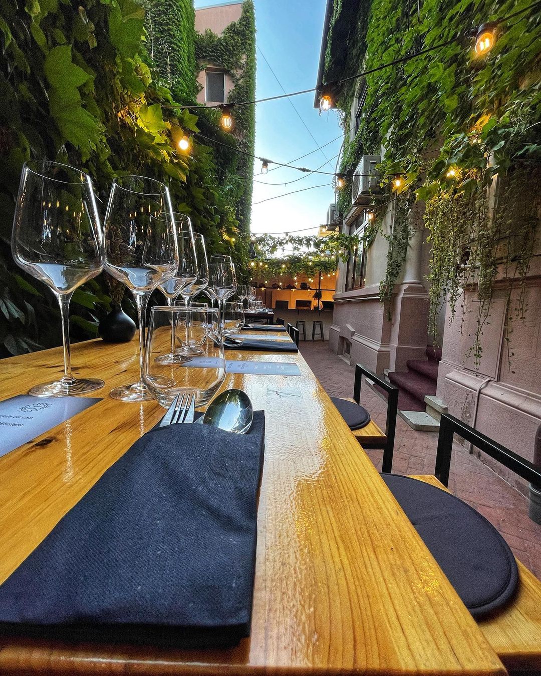 Pet-Friendly Places in Bucharest - Top 10 Cozy Spots You'll Love - Framey