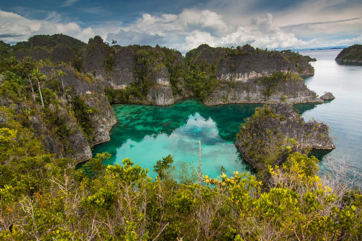 Raja Ampat Islands Bucket List: The Best 15 Things To Do - Framey