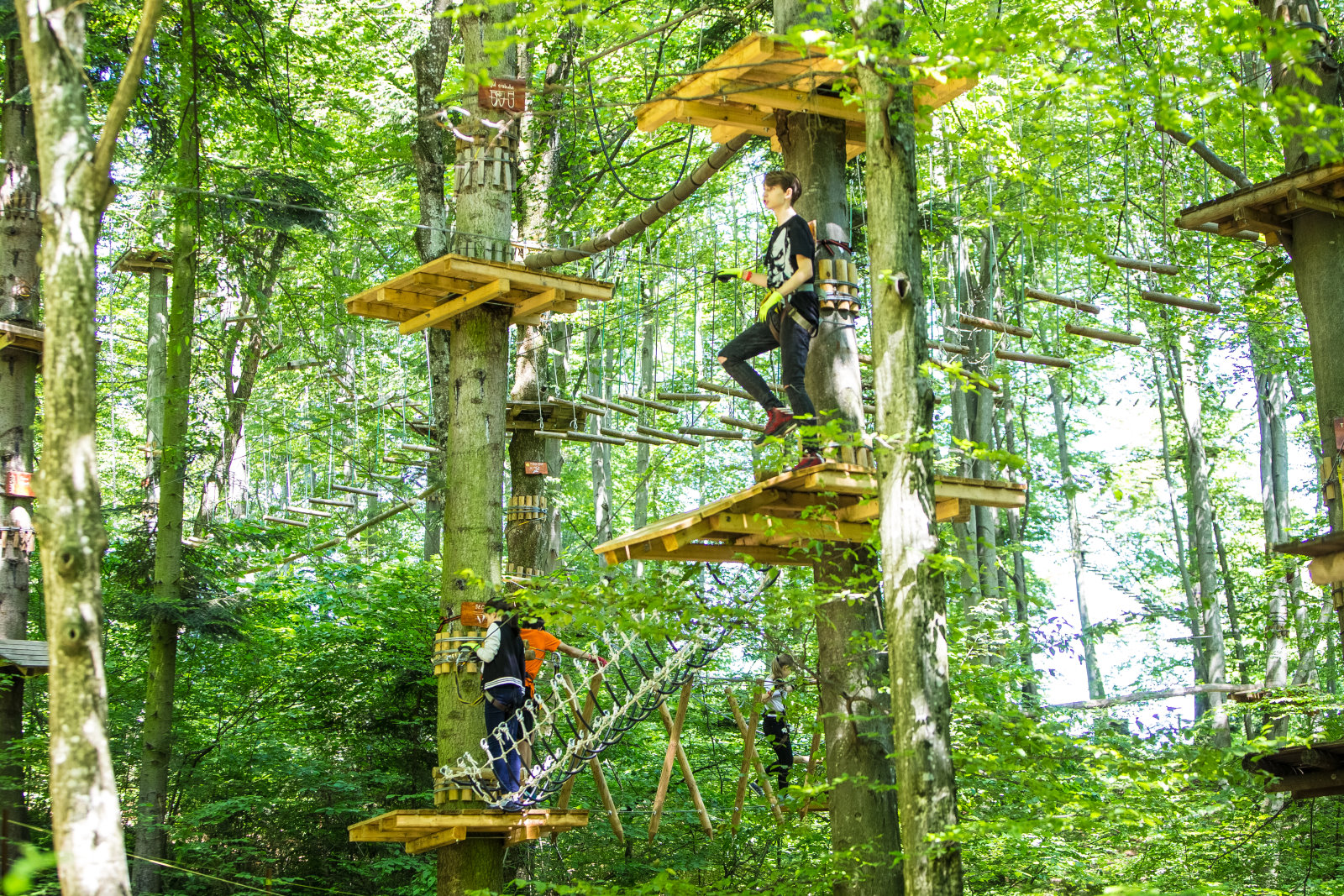 15 Best Attractions to Visit in Brasov, Romania - Framey