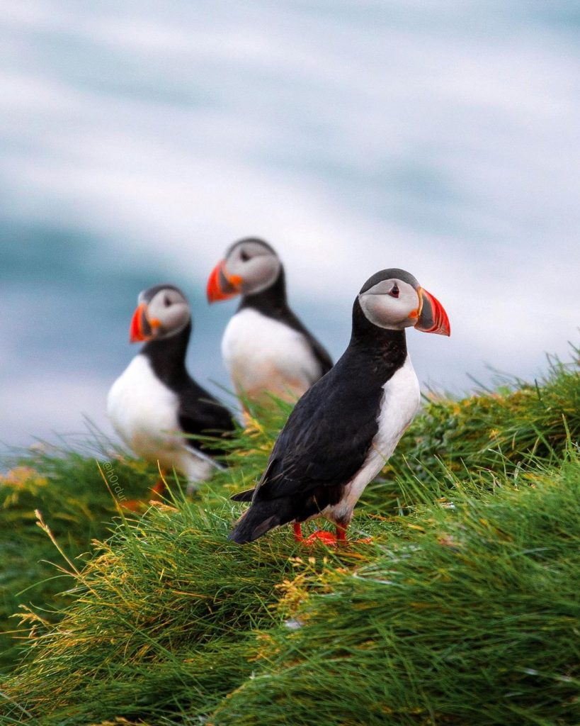 Iceland Bucket List: 30 Must-Visit Destinations - Framey